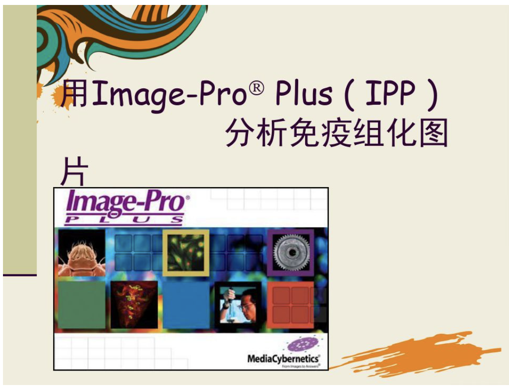 Image Pro Plus 6.0破解版 ｜Win英文版｜ 生物医学科研绘图软件 ｜安装教程-科研鹿