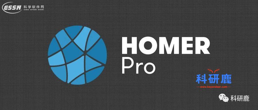 Homer Pro 3.14 | Win英文版 | 能源仿真设计软件 | 安装教程-科研鹿